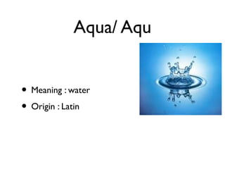 Sunshine,cadence,faith roots ppt | PPT