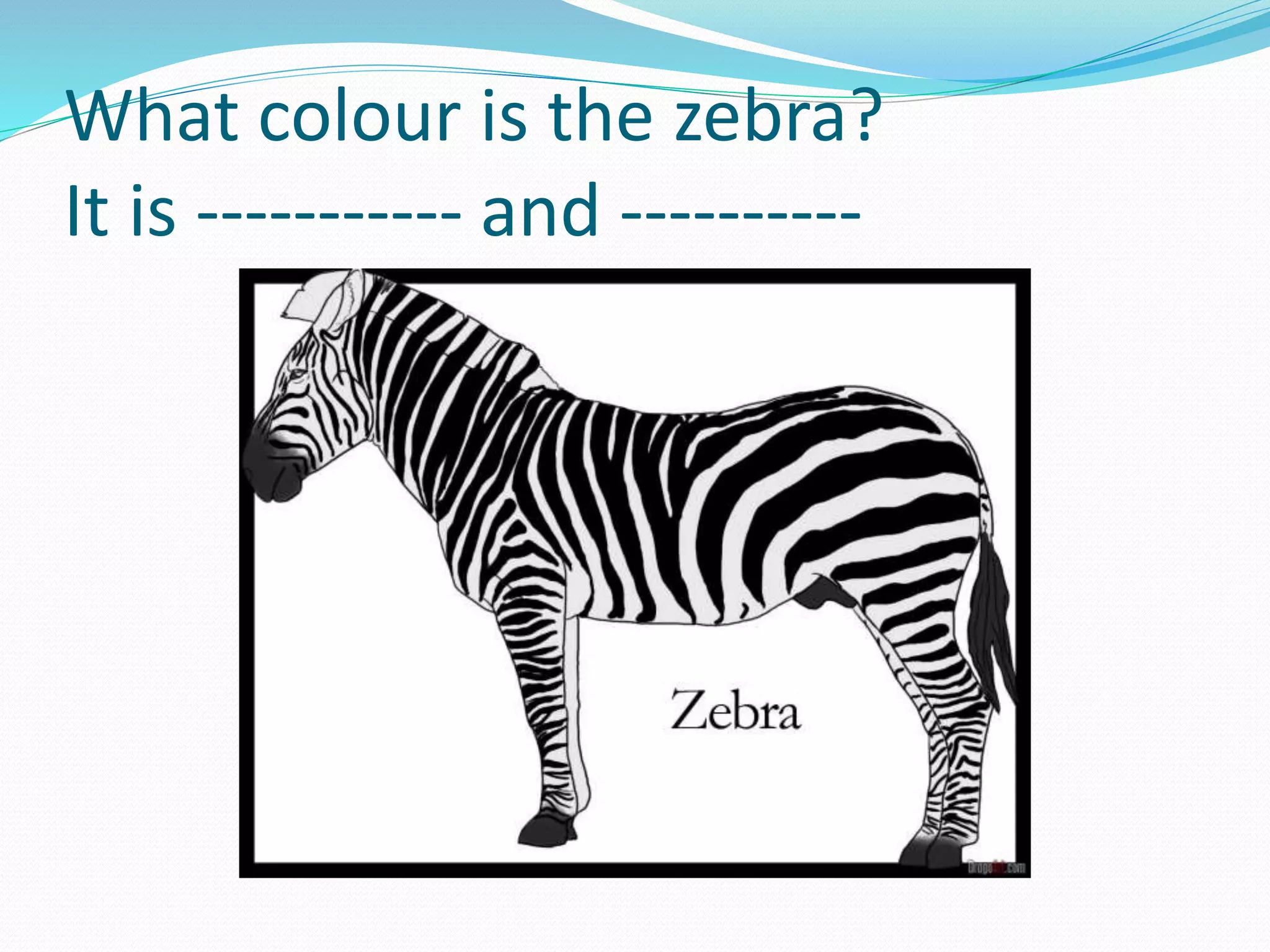 Grade 2 colours | PPTX