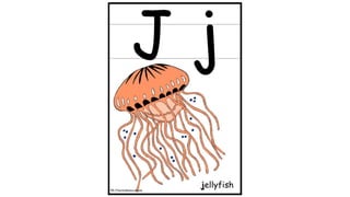 Alphabet Letters | PPT