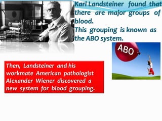 Blood Types and Personality | PPTX