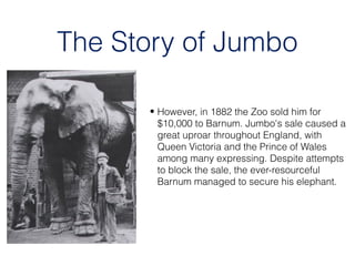 Elephant Jumbo | PPT