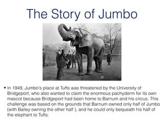 Elephant Jumbo | PPT