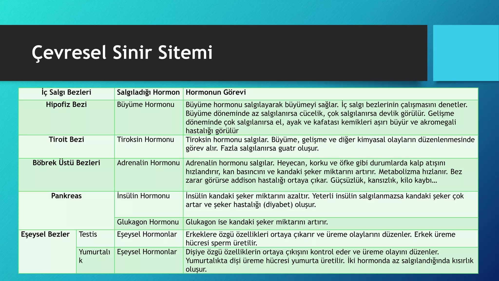 Sunum | PPT