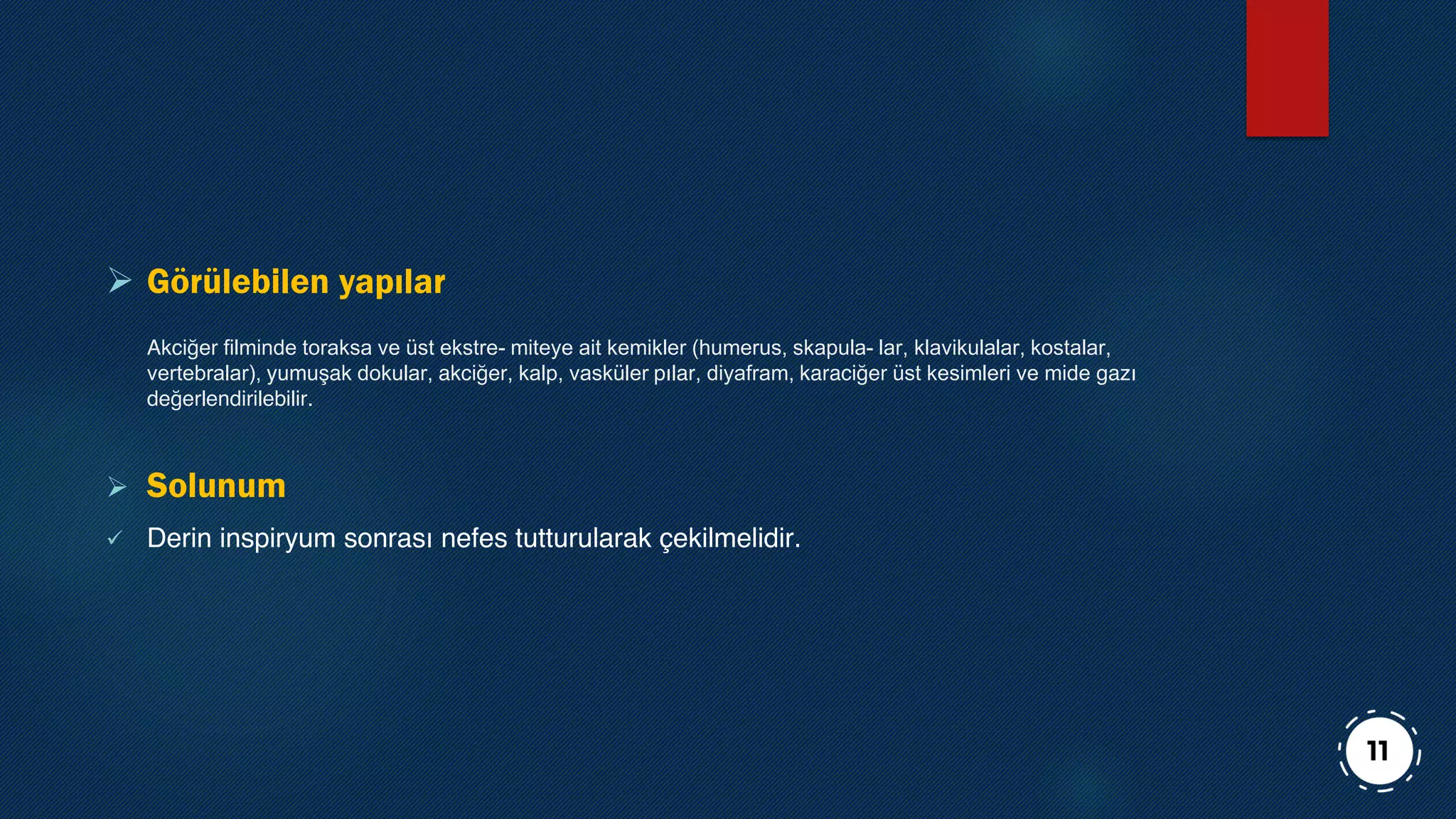 Sunum-_Toraks_radyografileri- PDF.pdf