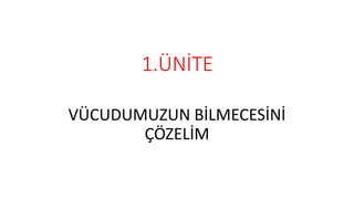 Sunum 5.sınıflar | PPT