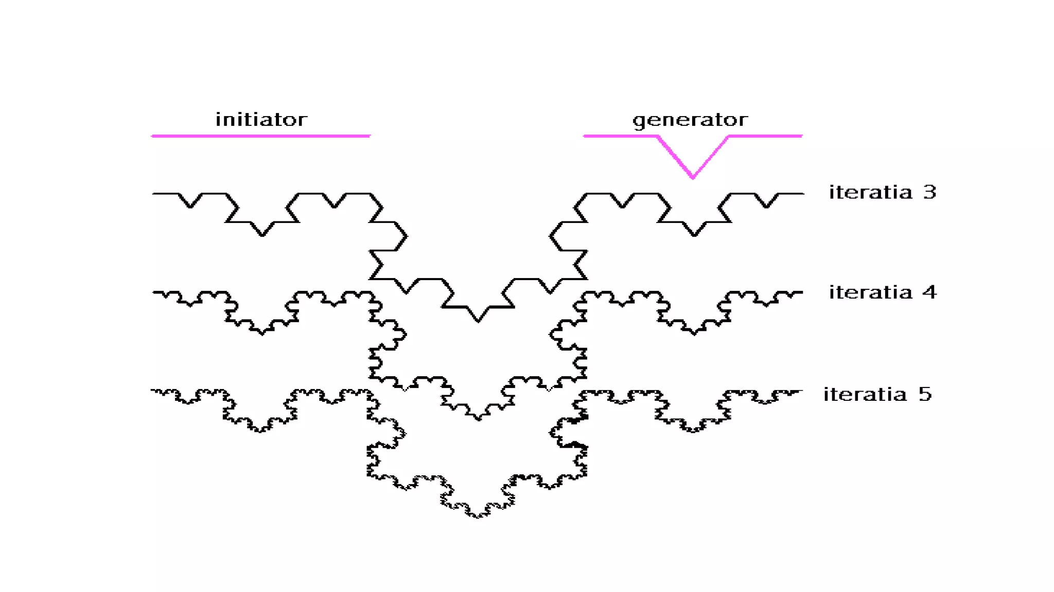 Sunzuiana alexandra-elemente-de-geometrie-fractala | PPTX