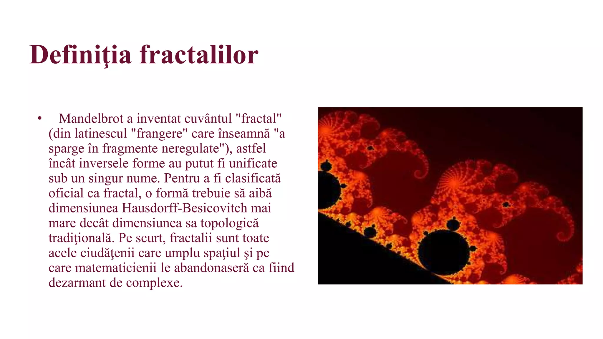 Sunzuiana alexandra-elemente-de-geometrie-fractala | PPTX