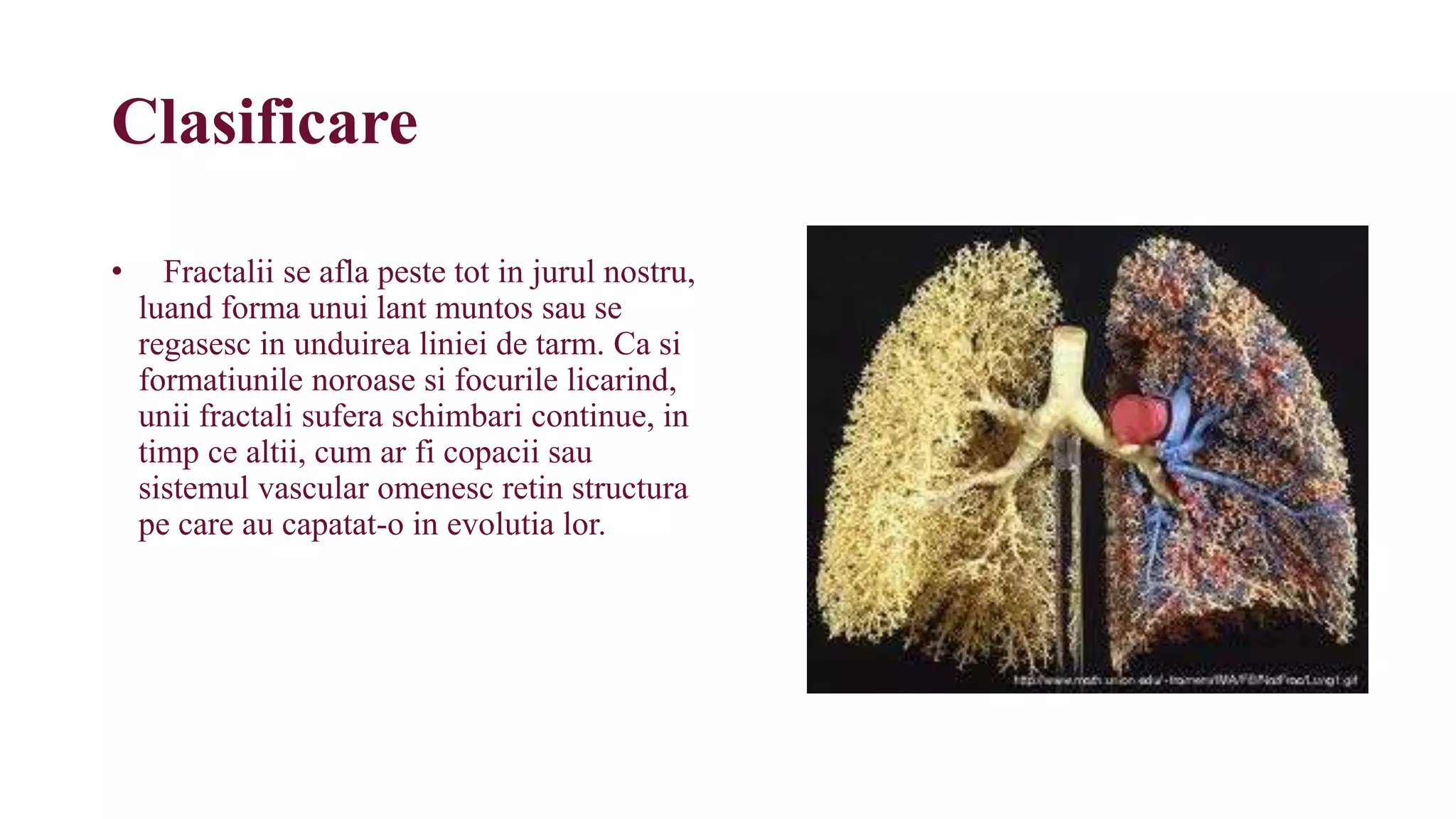 Sunzuiana alexandra-elemente-de-geometrie-fractala | PPTX