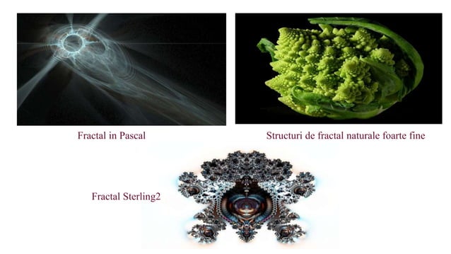 Sunzuiana alexandra-elemente-de-geometrie-fractala | PPTX