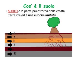 La risorsa suolo | PPTX | Gardening | Home & Garden