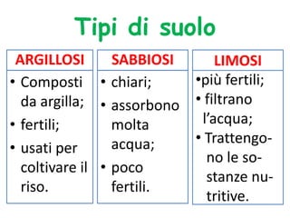 La risorsa suolo | PPTX | Gardening | Home & Garden