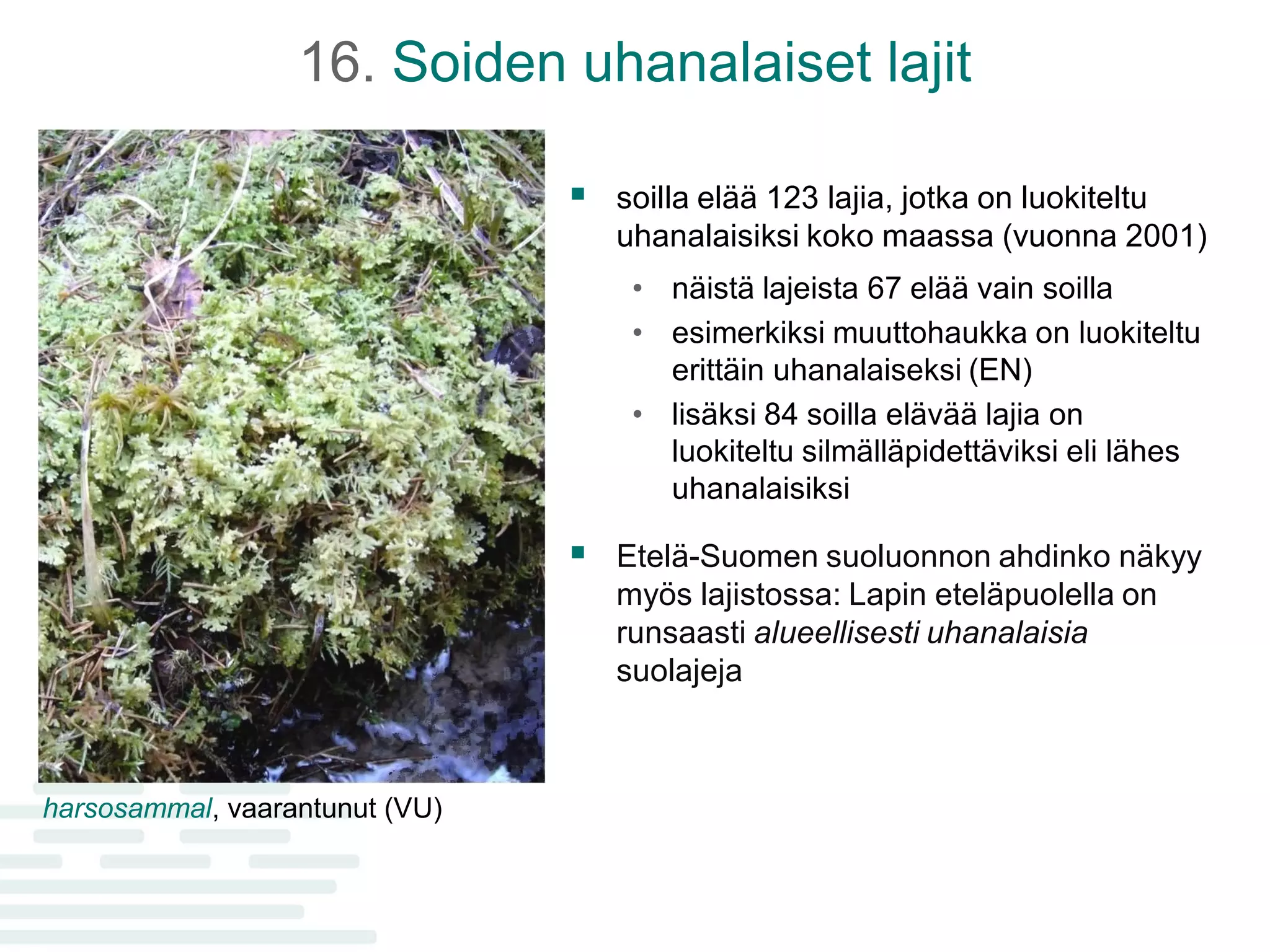 Suomen suot - Uhanalaisia hiilivarastoja | PDF