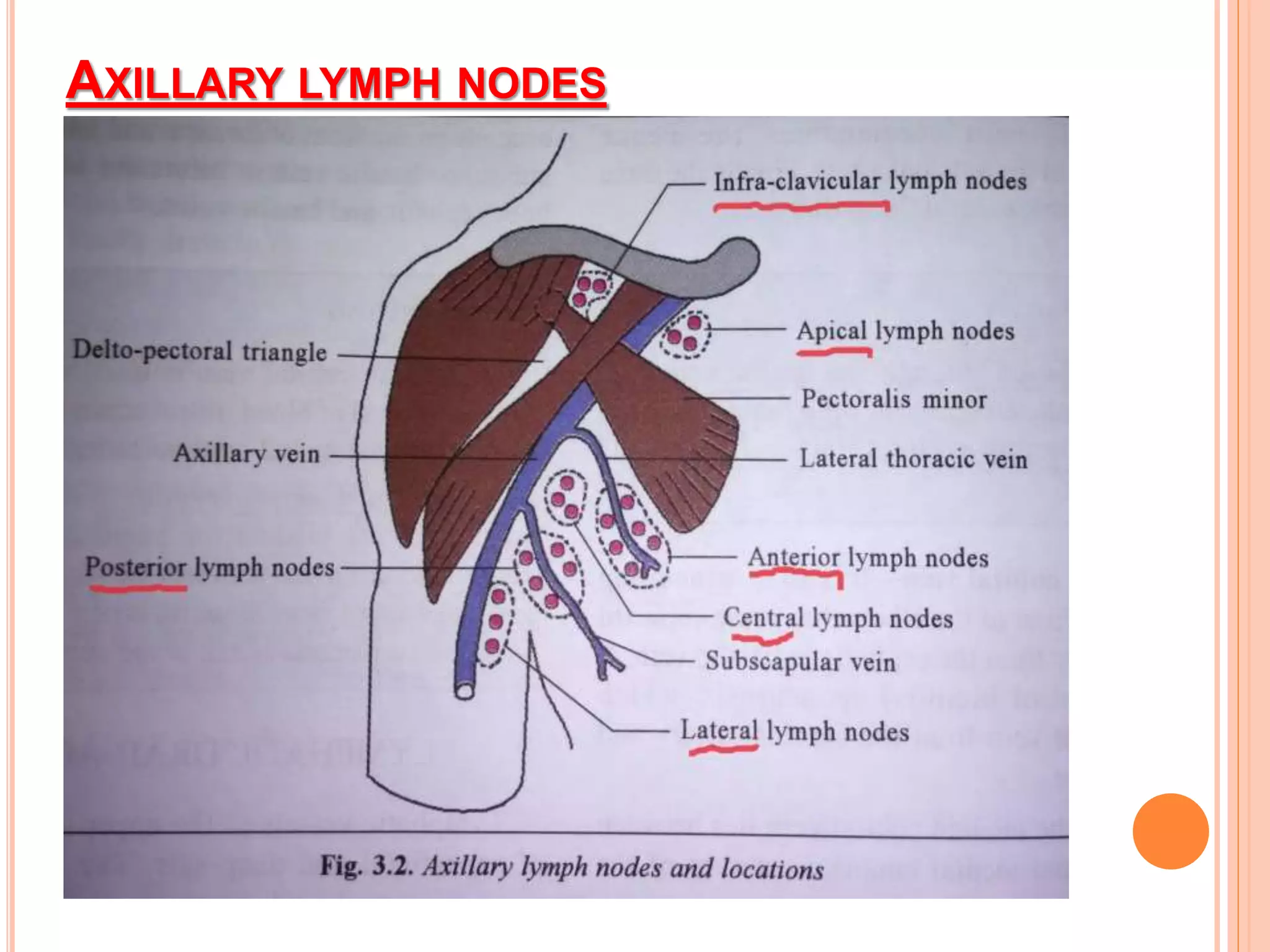 venous & lymphatic drainage of upper limb | PPTX
