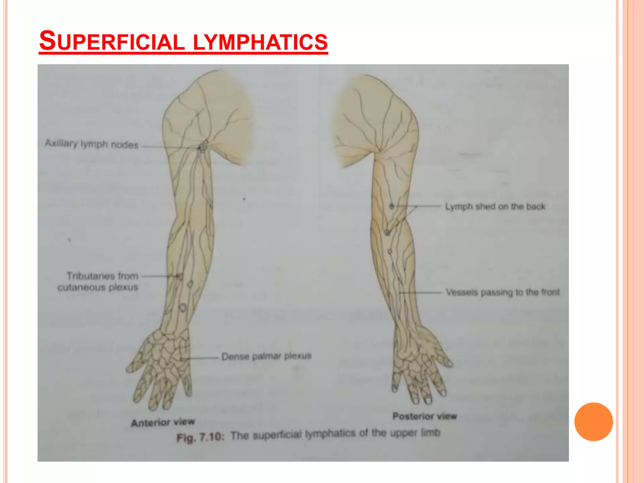 venous & lymphatic drainage of upper limb | PPTX