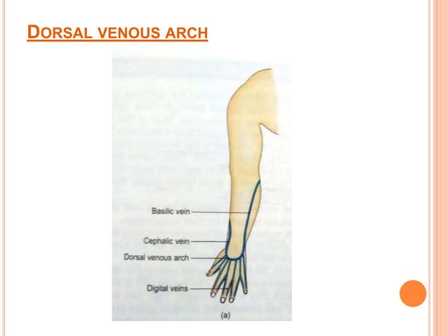 venous & lymphatic drainage of upper limb | PPTX