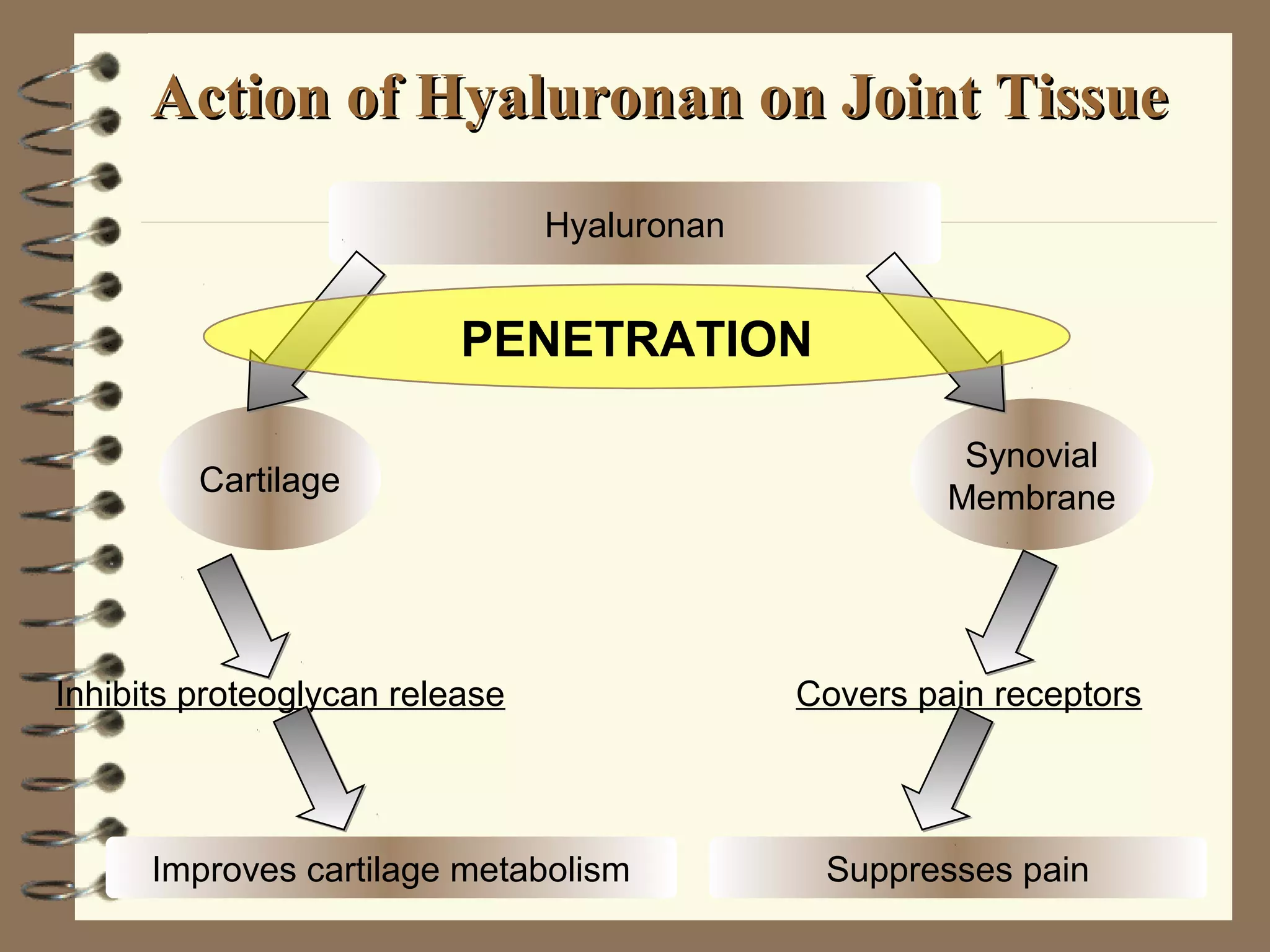 Supartz injection techniques | PPT