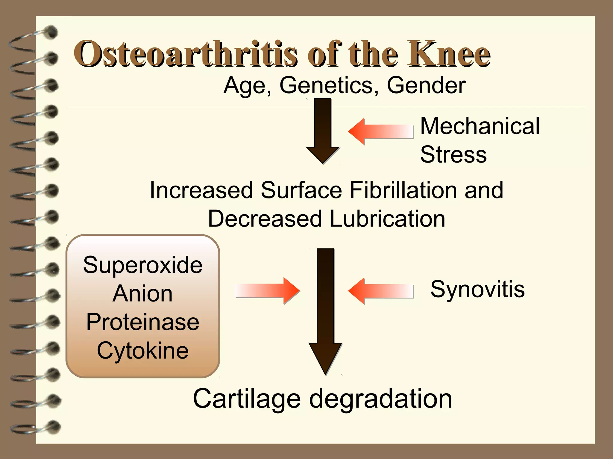 Supartz injection techniques | PPT