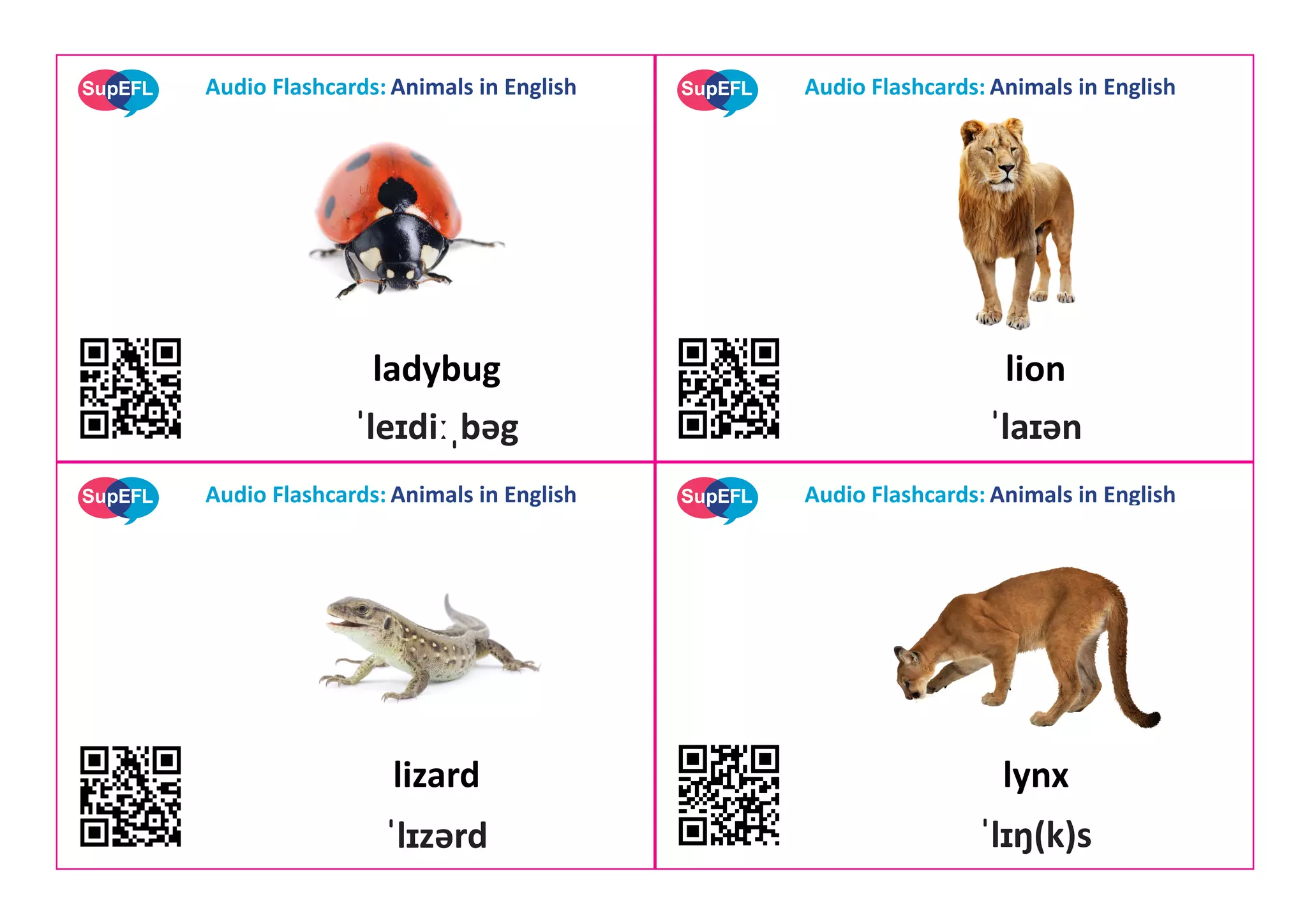 SupEFL audio flashcards: animals in english set 1 | PDF