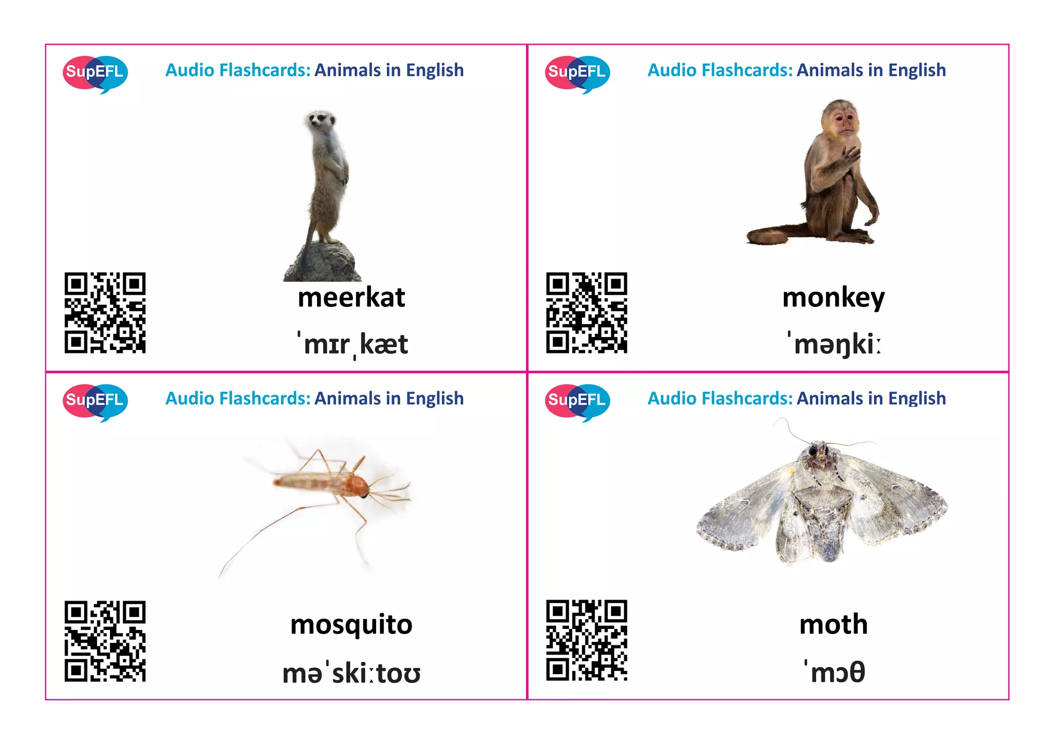 SupEFL audio flashcards: animals in english set 1 | PDF