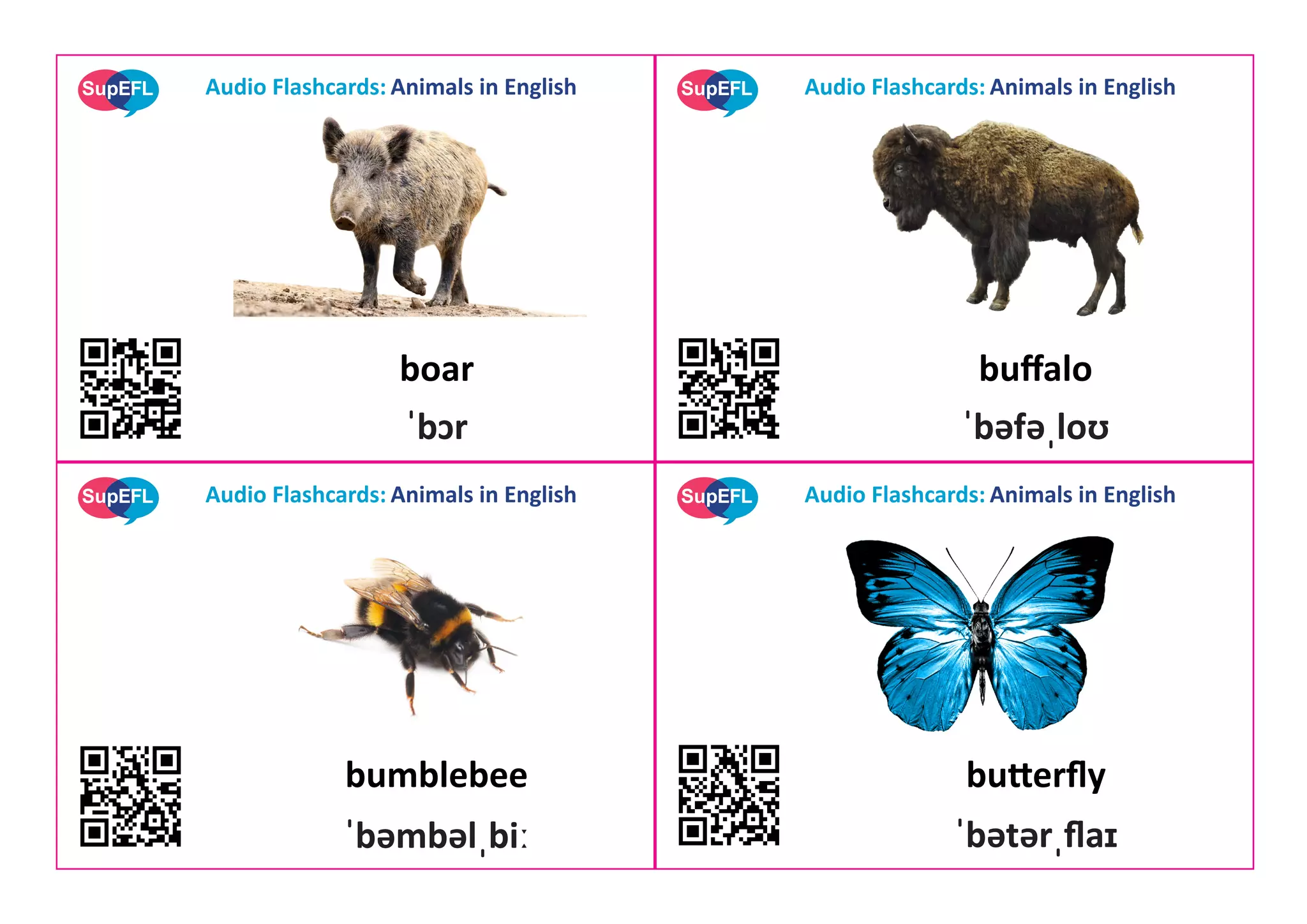 SupEFL audio flashcards: animals in english set 1 | PDF