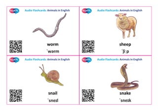 SupEFL audio flashcards: animals in english set 1 handdrawn | PDF