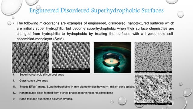 Super hydrophobic ppt | PPT | Chemistry | Science