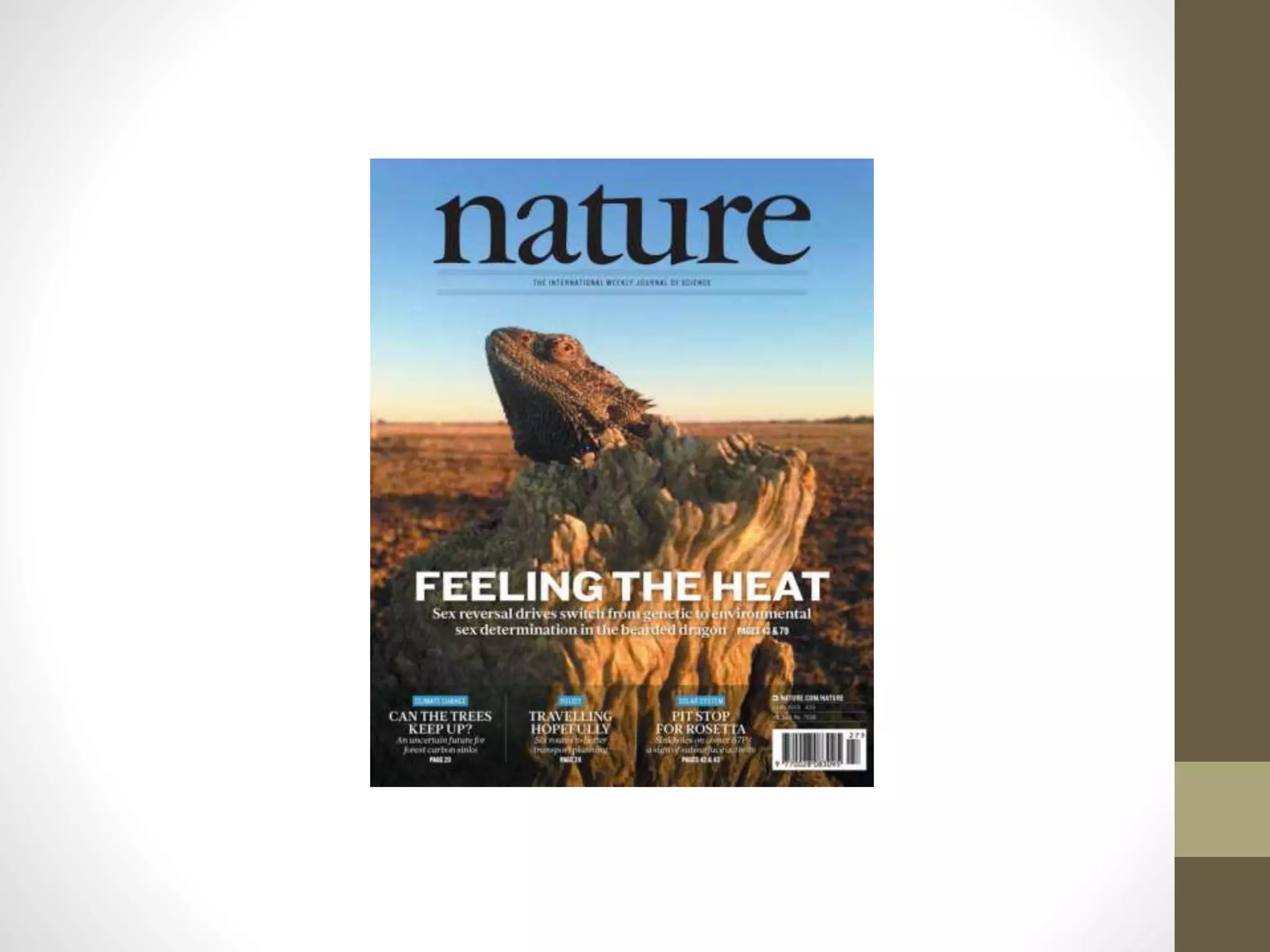 Super muscly pigs created by small genetic tweak | PPTX