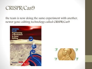 Super muscly pigs created by small genetic tweak | PPTX | Programming ...