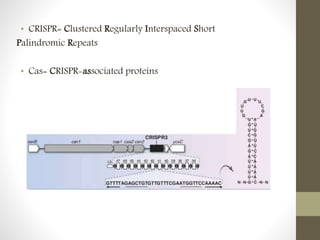 Super muscly pigs created by small genetic tweak | PPTX | Programming ...