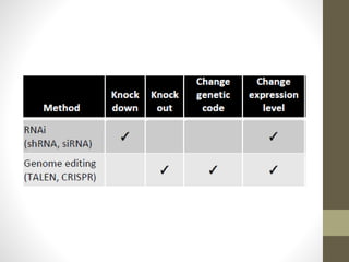 Super muscly pigs created by small genetic tweak | PPTX | Programming ...