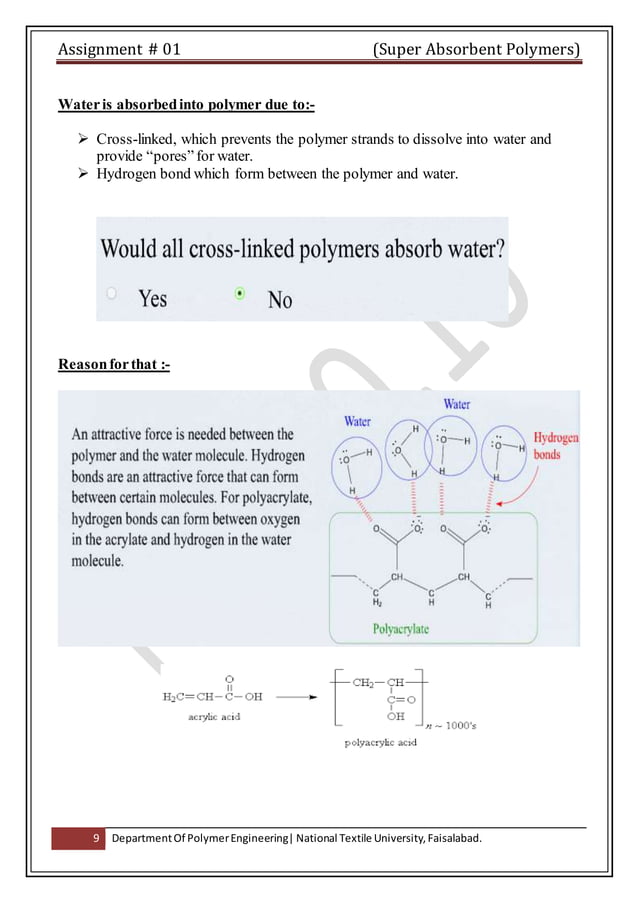 Super absorbant polymers | DOCX | Home & Garden