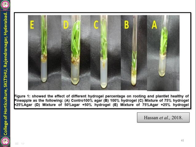 Applications of Super absorbants in Horticulture by Y. Pooja | PPT