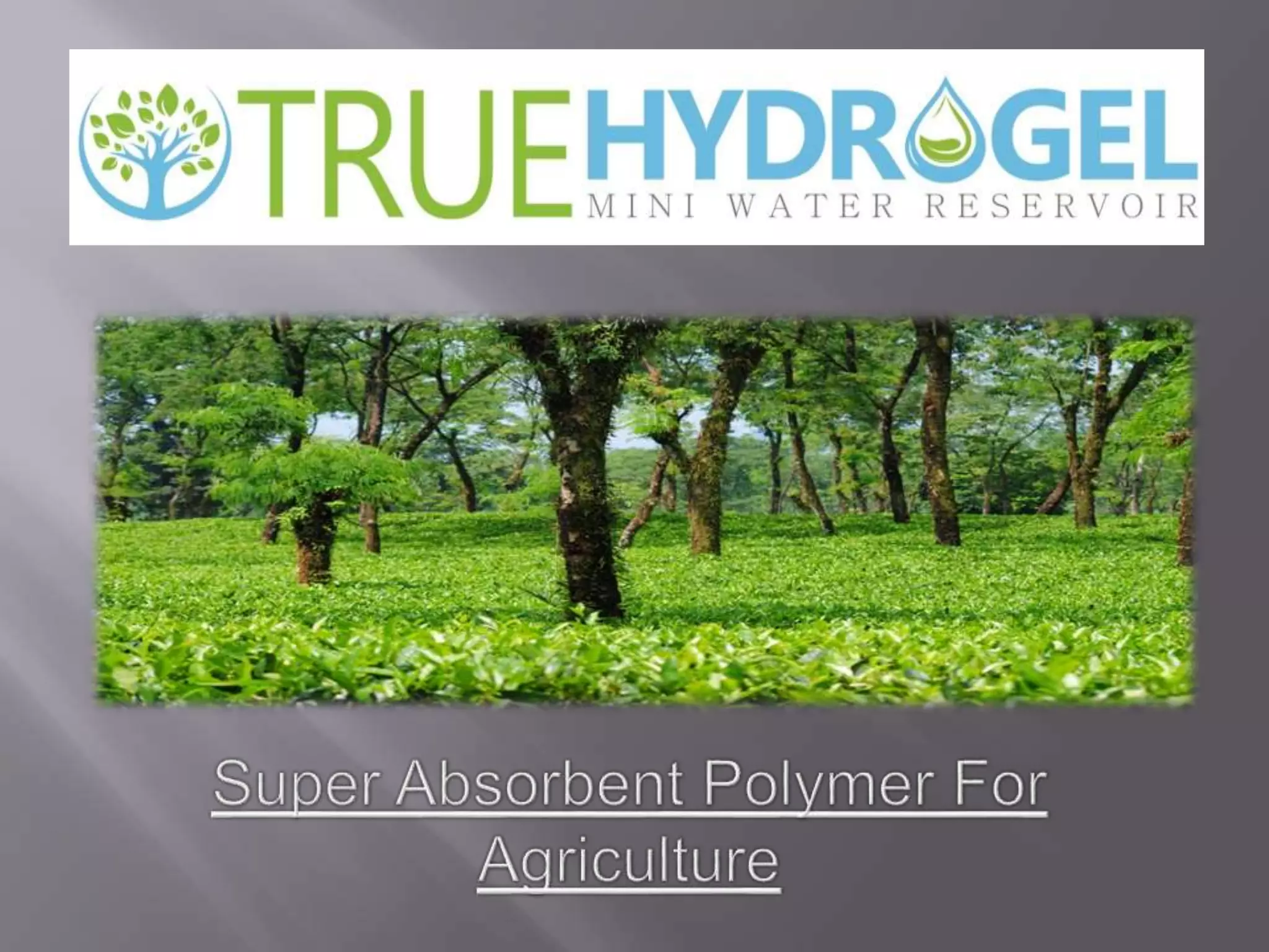 Super absorbent polymer for agriculture | PPTX