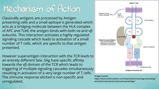 Superantigens by Snehashish attributed | PPTX