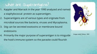 Superantigens by Snehashish attributed | PPTX