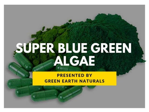 Super blue green algae | PPTX
