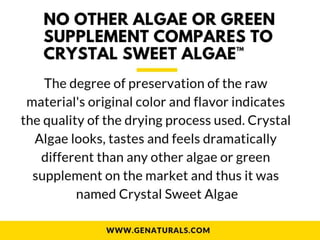 Super blue green algae | PPTX