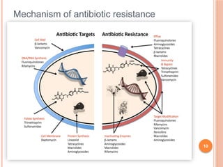 Superbug | PPTX