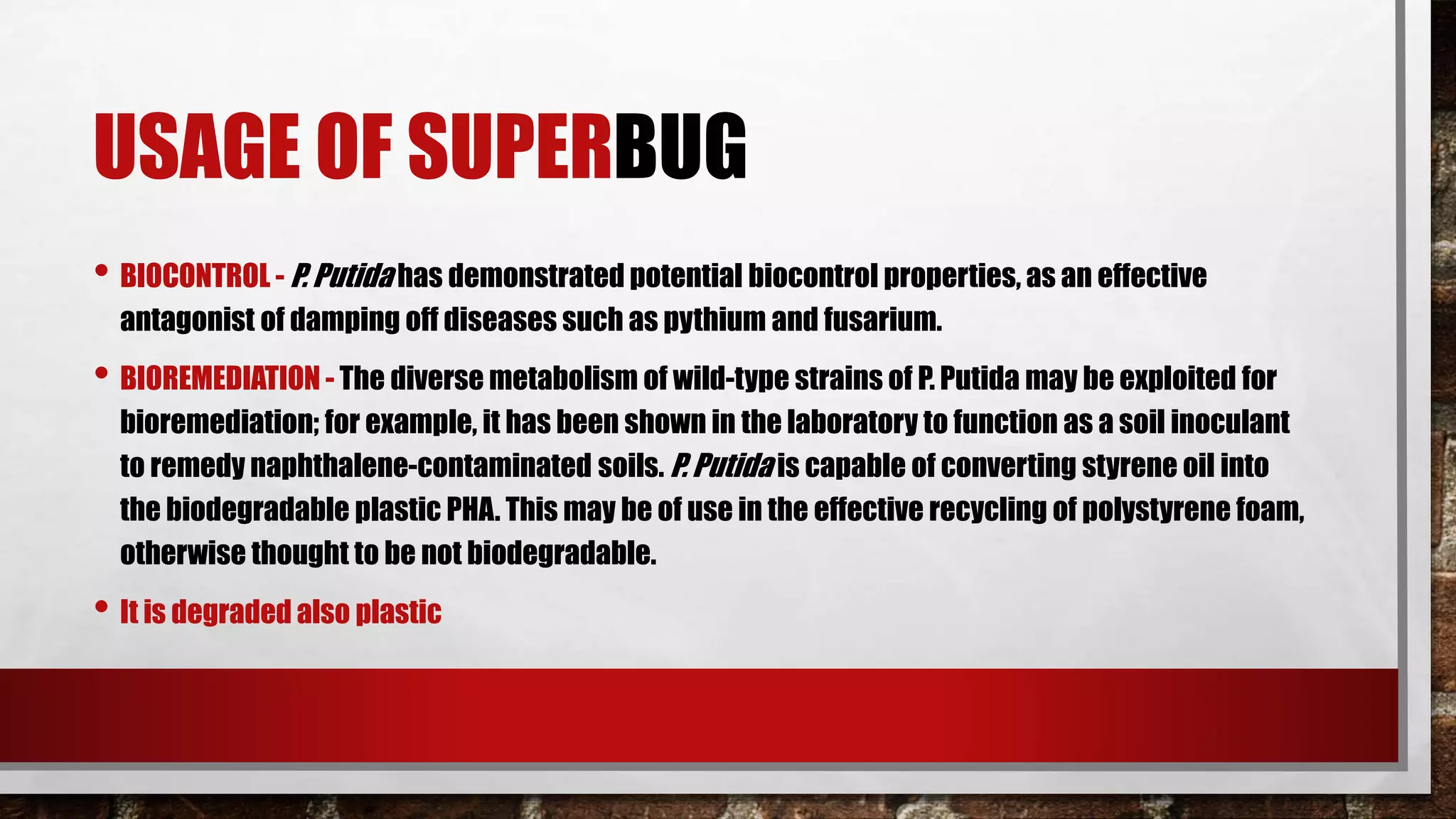 Superbug (Pseudomonas putida) | PPTX