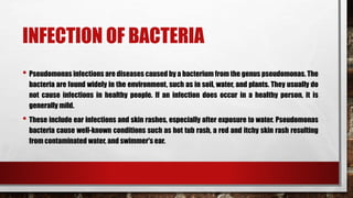 Superbug (Pseudomonas putida) | PPTX