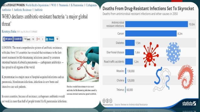 Superbugs the bacteria that resists | PPTX | Infectious Diseases ...