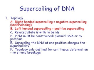 Supercoiling | PDF