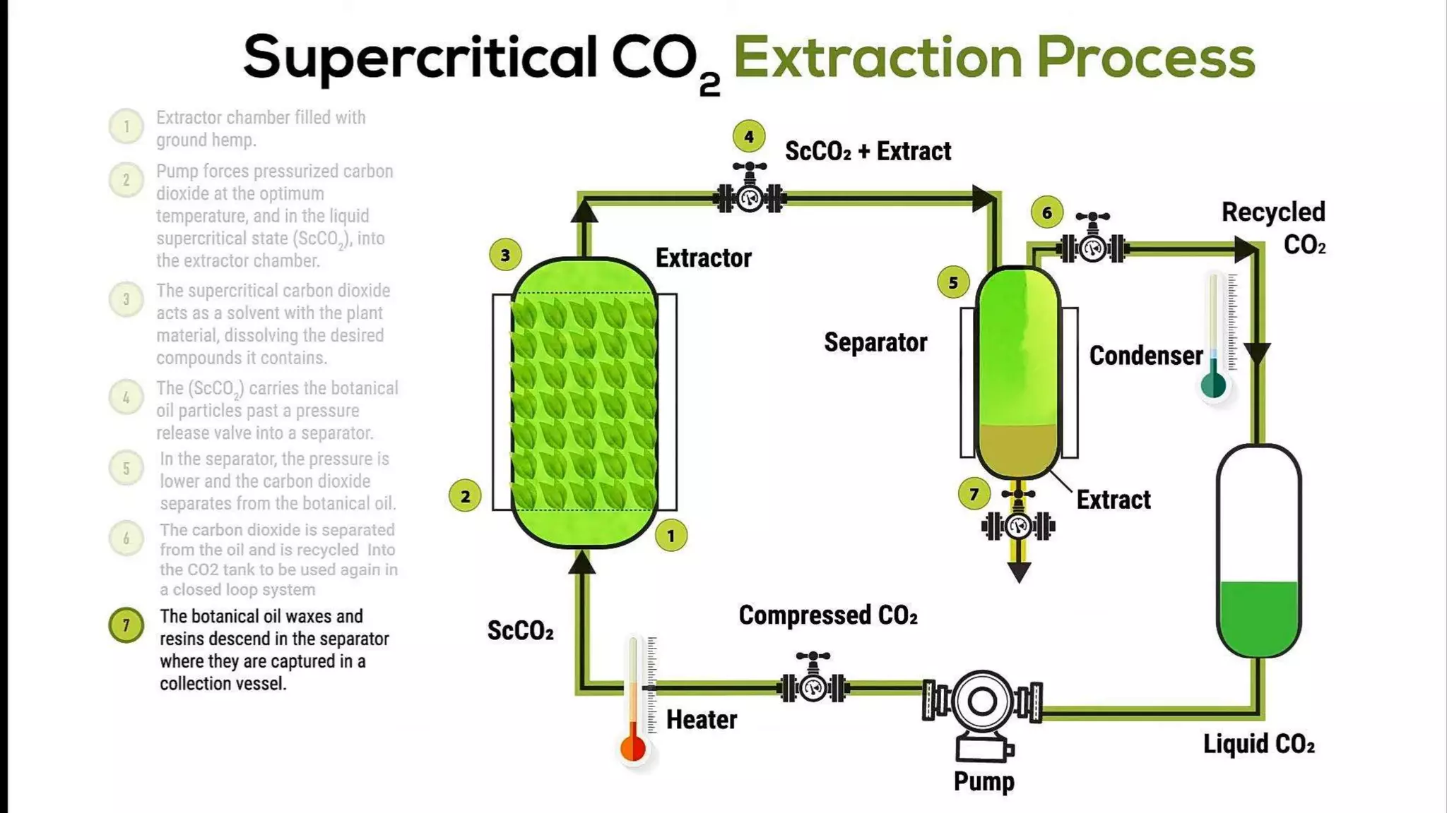 Super Critical Fluid Extraction (SCFE) Ppt.pptx