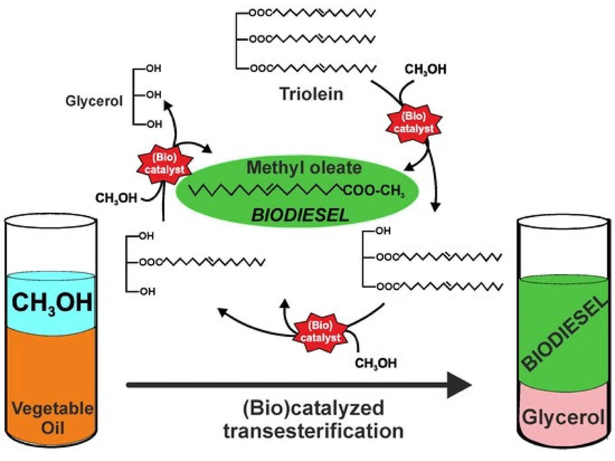 Supercritical Synthesis of Biodiesel - Copy.pptx