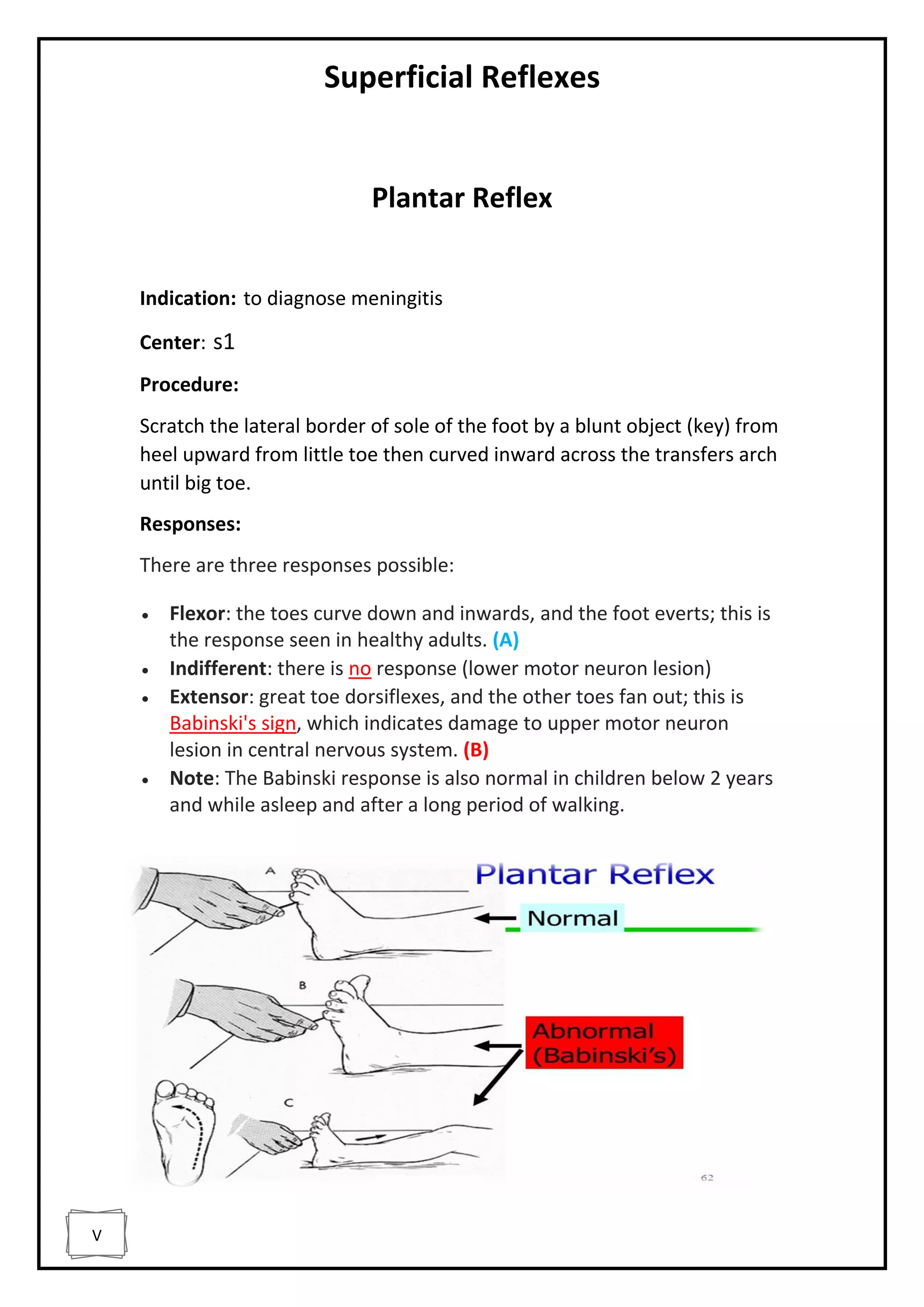 Superfacial reflex | PDF