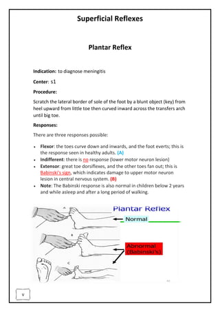 Superfacial reflex | PDF