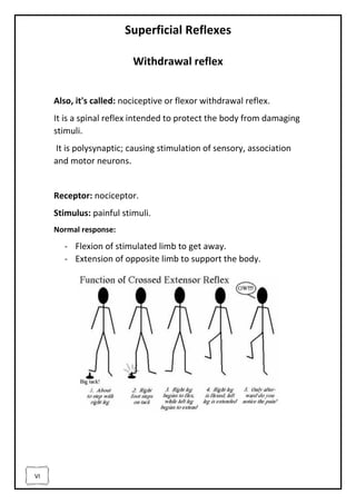 Superfacial reflex | PDF