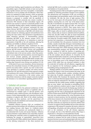 Superfamilia-de-las-inmunoglobulinas.pdf