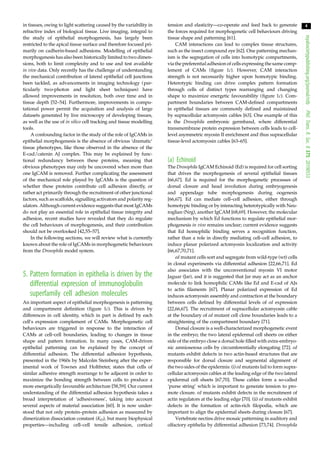 Superfamilia-de-las-inmunoglobulinas.pdf