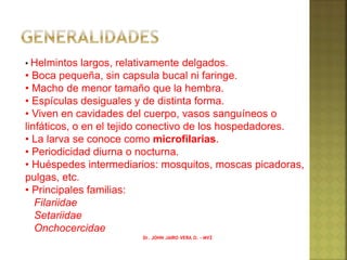 Superfamilia-FILAROIDEA.ppsx.ppt veterinaria | PPT